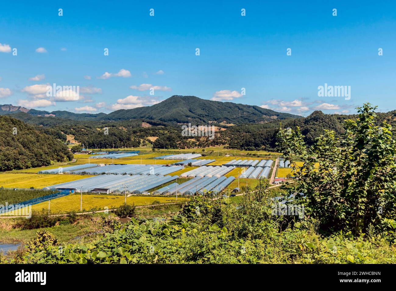 Landscape of rural farmland with rows of greenhouses in mountain valley ...