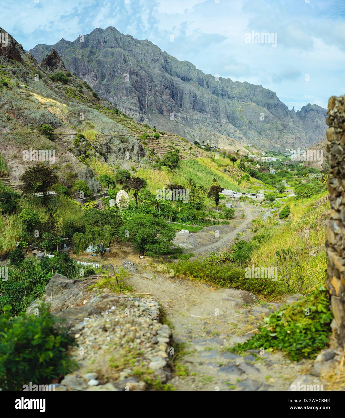 Palm trees in front of arid rocky terrain. Huge barren mountain in ...