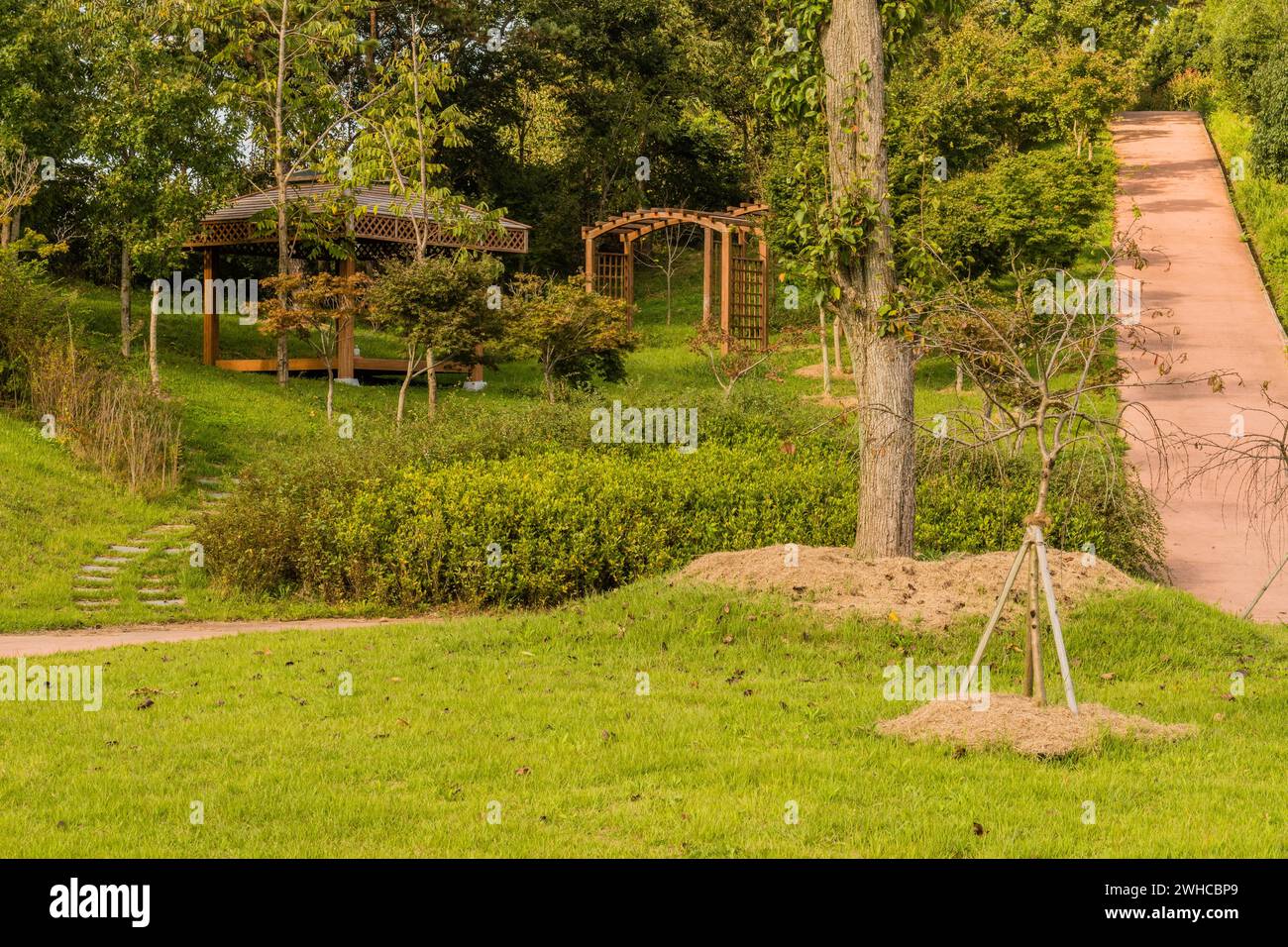 Landscape of urban park with covered gazebo, wooden trellises and ...