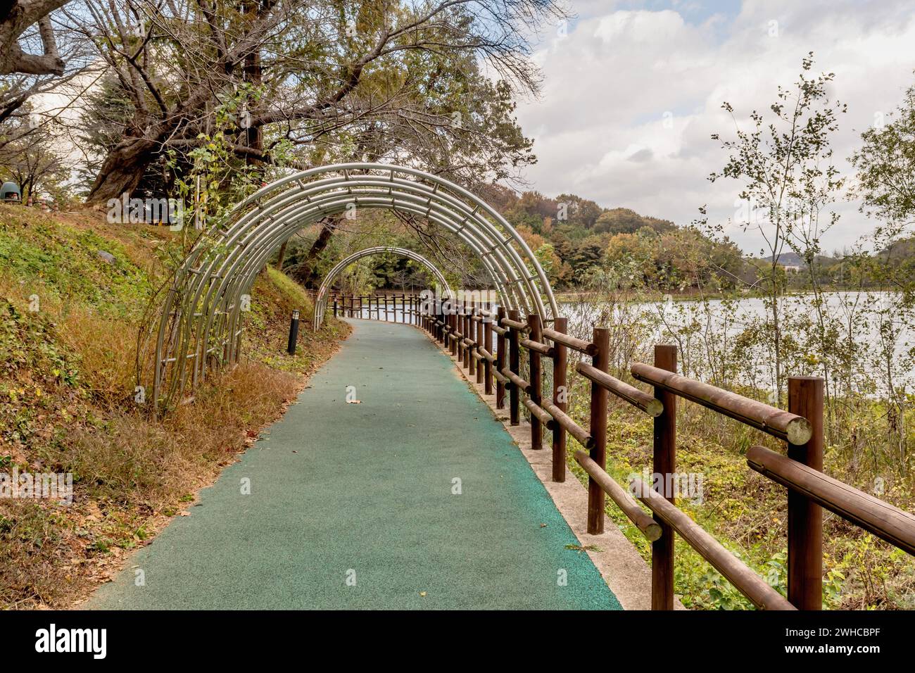 Metal trellis over green paved hiking trail at lakeside park in South ...