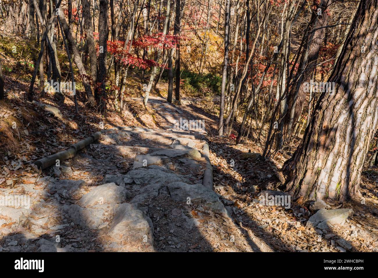 Autumn landscape of rocky trail through trees down mountainside in ...