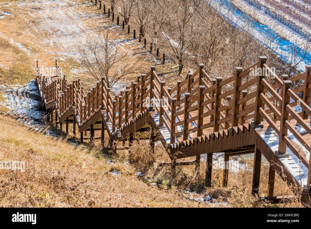 Winter in south korea cold hi-res stock photography and images - Alamy