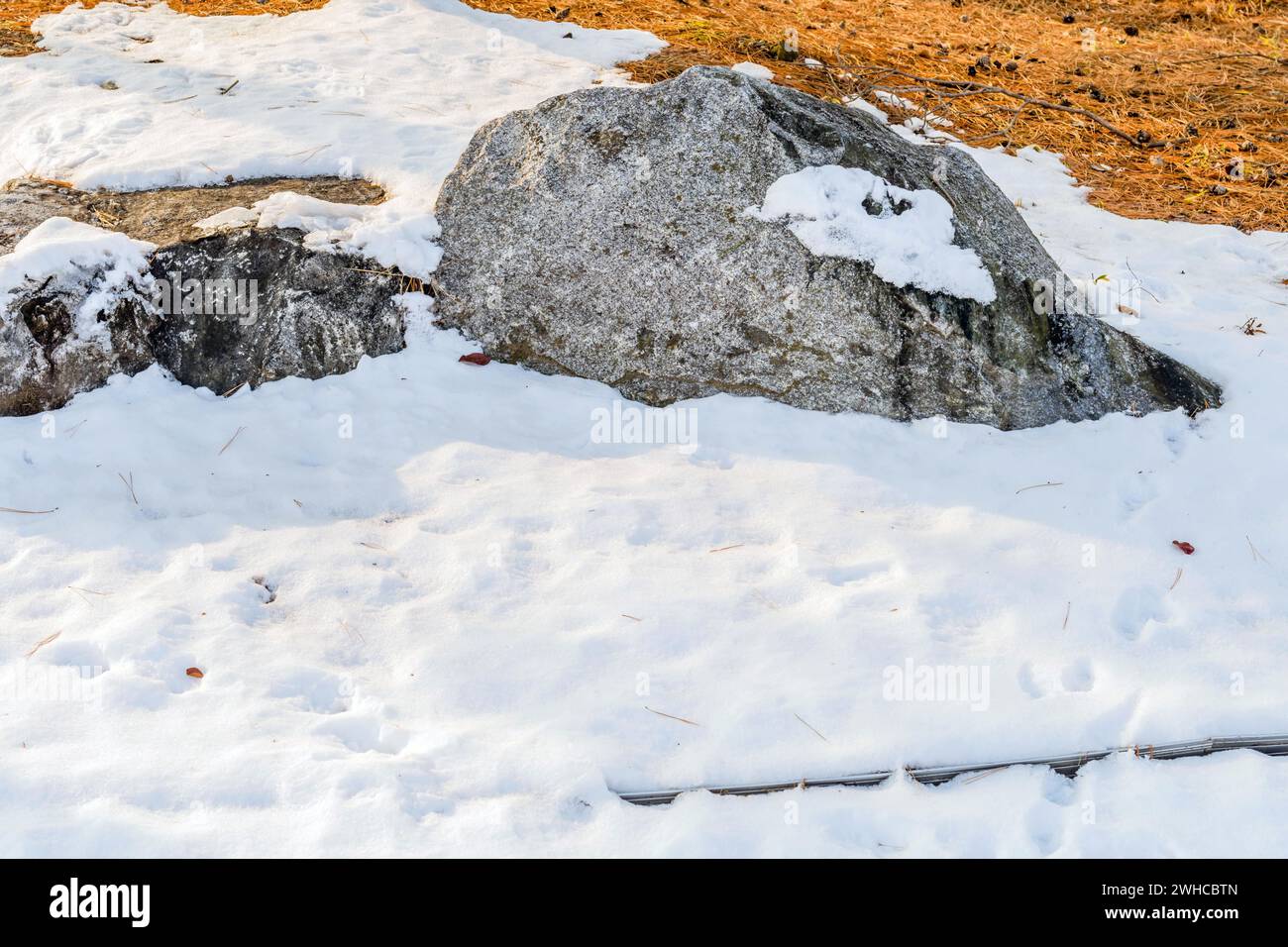 Large boulder on snow covered ground in wilderness park in South Korea ...
