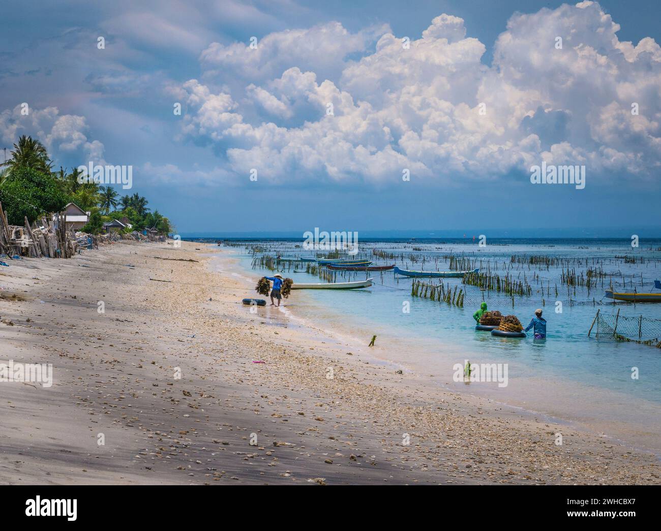 Seaweed plantation farm by Low Tide in Nusa Penida, Bali in Clouds on ...
