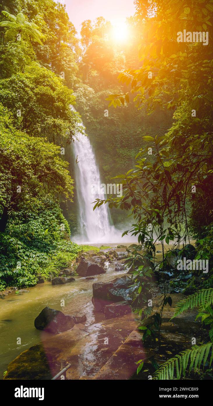 Beautiful waterfall lush jungle sunlight hi-res stock photography and ...