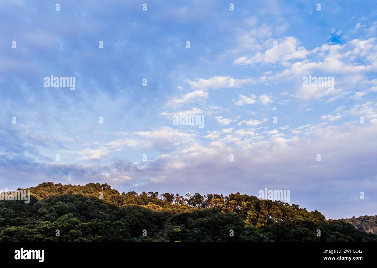 Blue sky filled with layers of white puffy clouds over a tree covered ...
