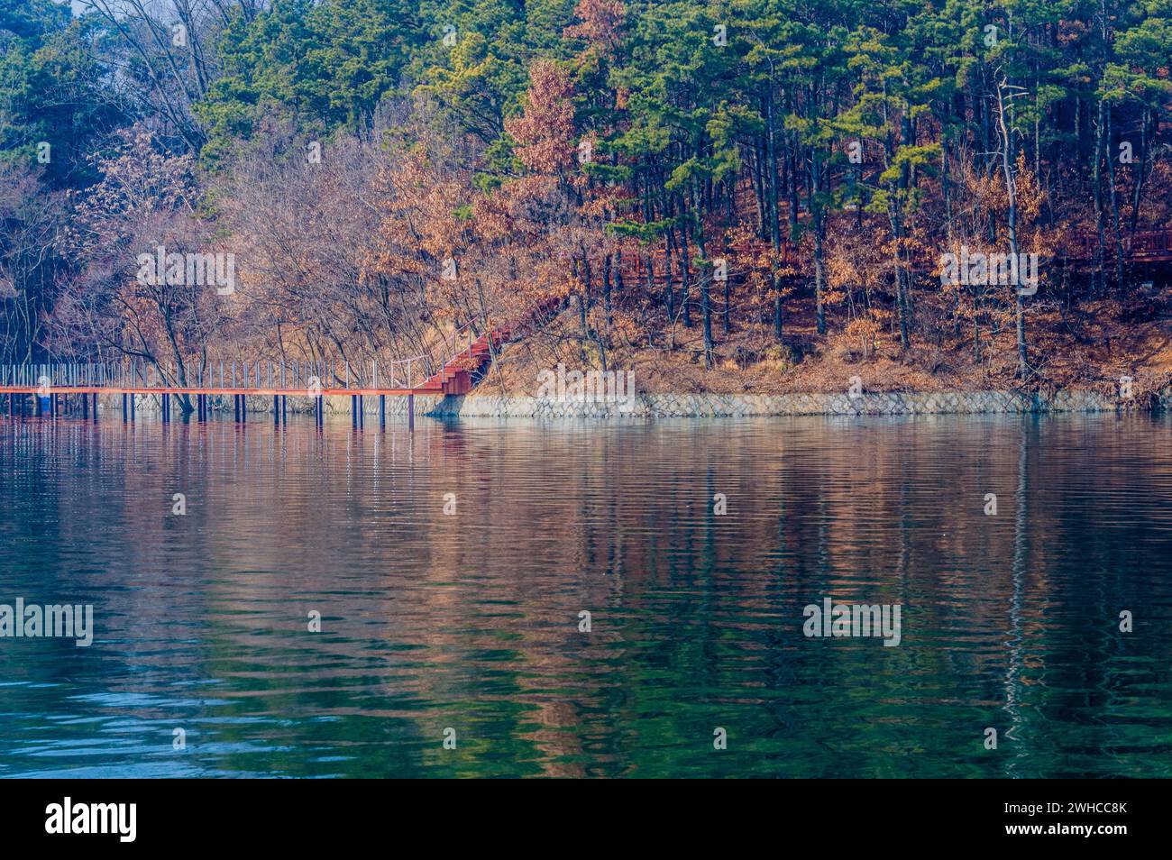Landscape of lake with a wooden walkway on the shore with stairs ...