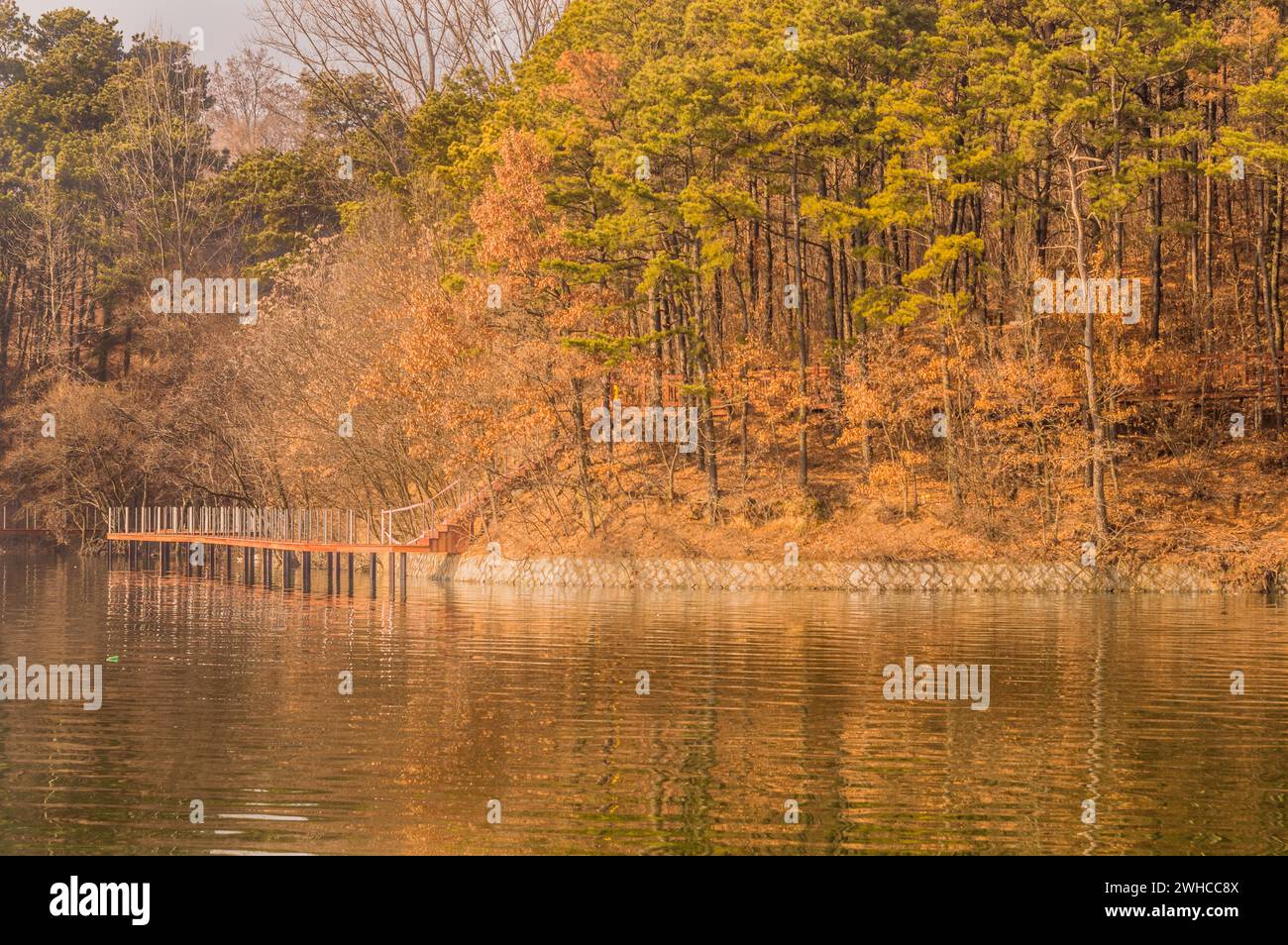 Landscape of lake with a wooden walkway on the shore with stairs ...