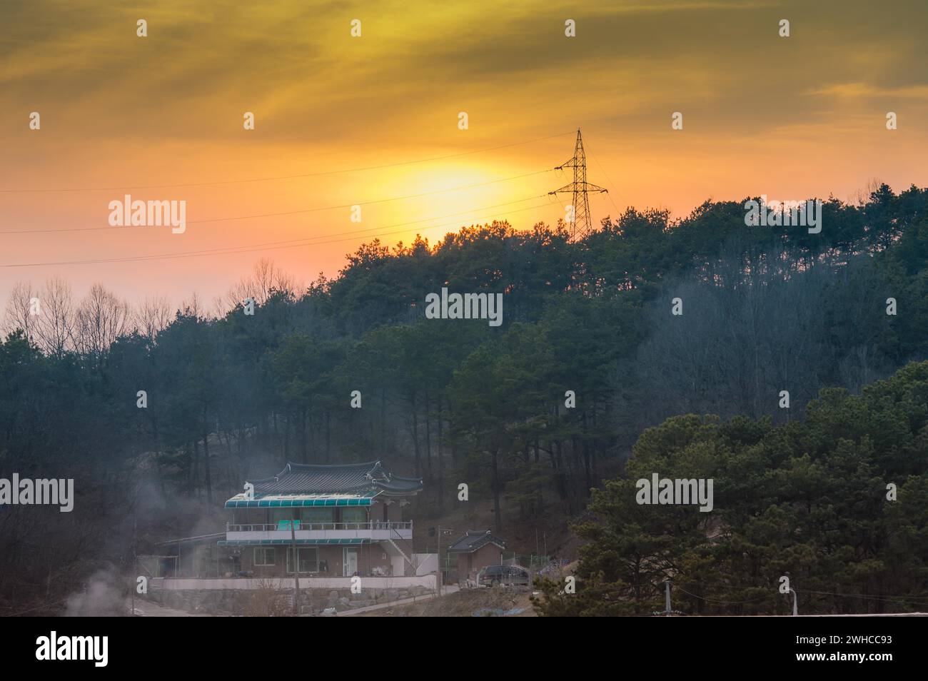 Sun setting below tree line with smoke from a fire rising into the air ...