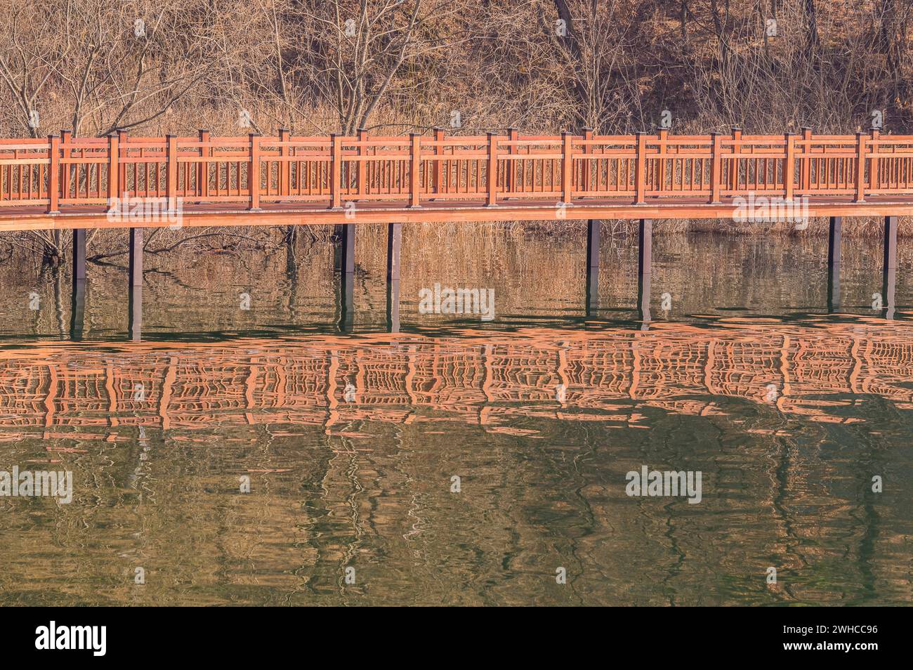 Wooden walkway at the edge of a lake reflecting in the water below with ...