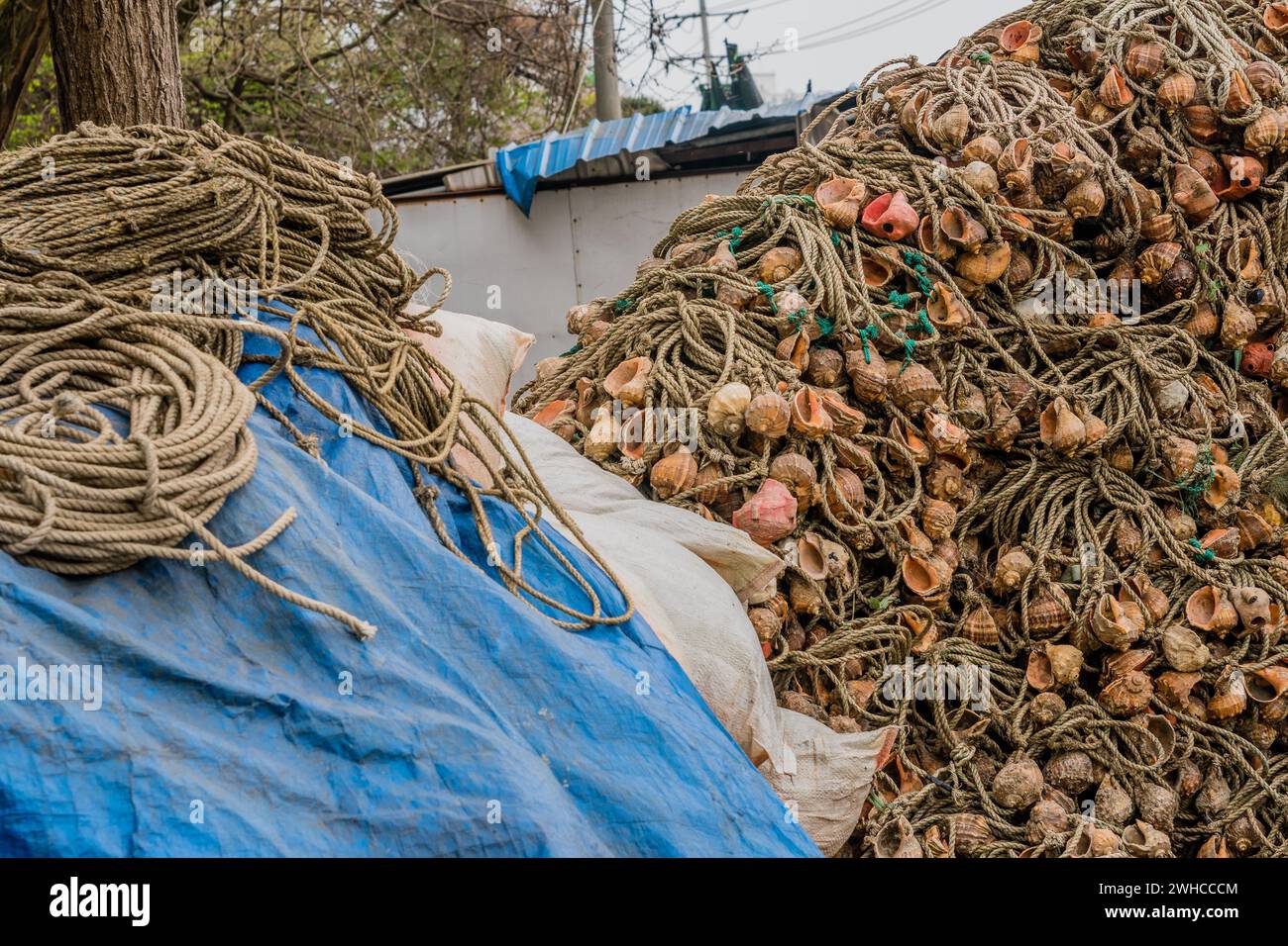 Closeup of large collection of fishing nets made of rope and seashells ...