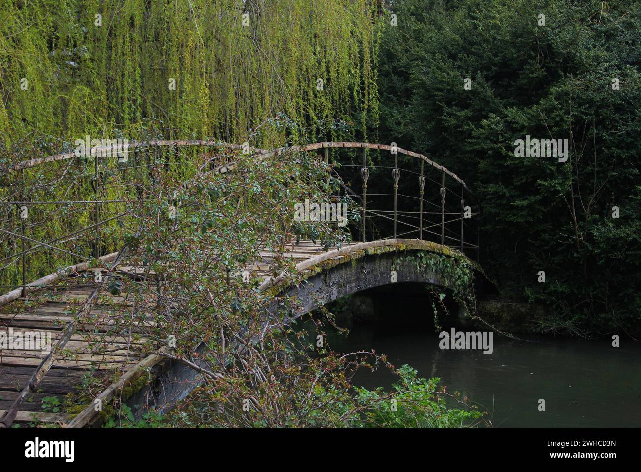 Bridge with trees and foliage Stock Photo - Alamy