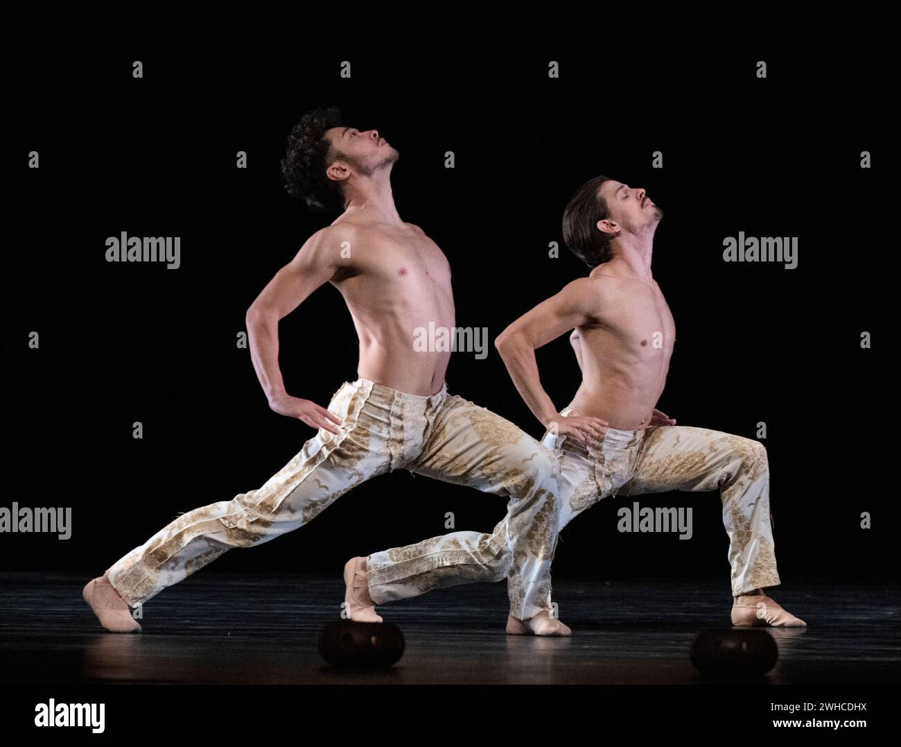 Sadlers Wells, London, UK. 9th Feb, 2024. Dress rehearsal of São Paulo ...