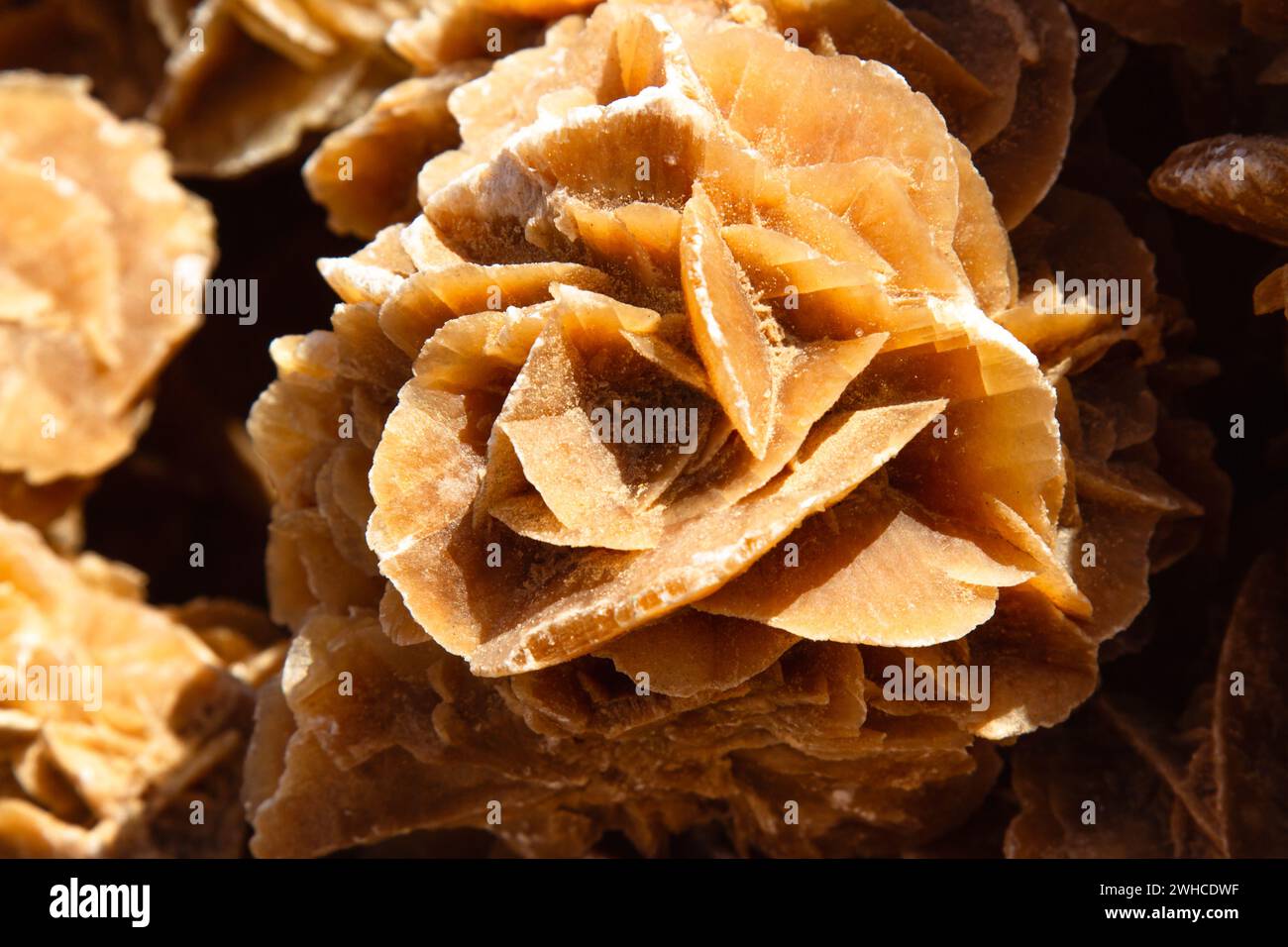 Saharan gypsum desert rose hi-res stock photography and images - Alamy