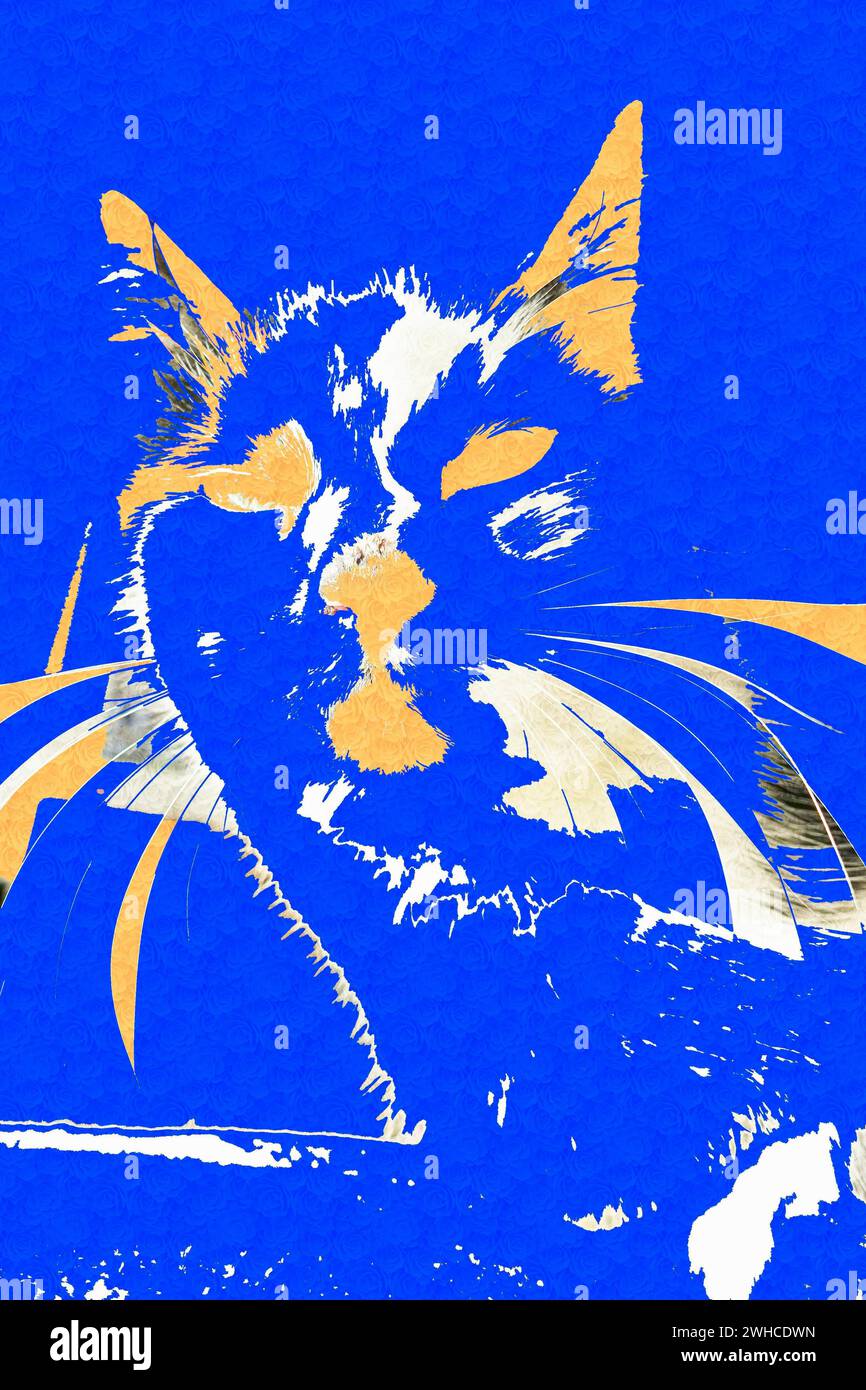 Mixed media cats hi-res stock photography and images - Alamy