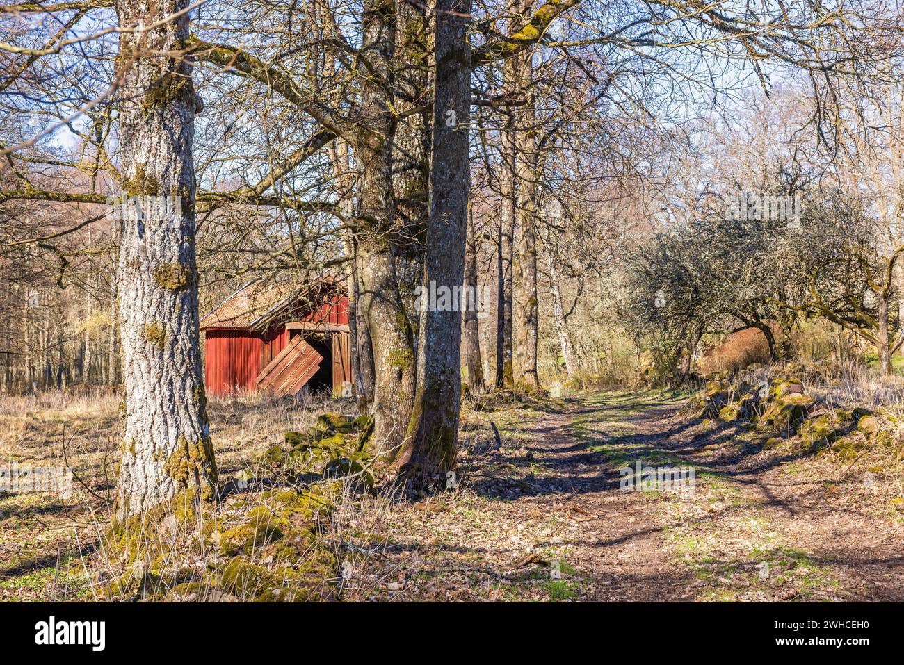 Spring shed hi-res stock photography and images - Alamy