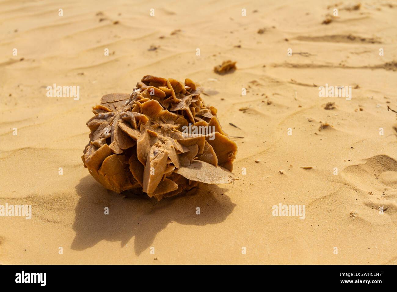 Saharan gypsum desert rose hi-res stock photography and images - Alamy