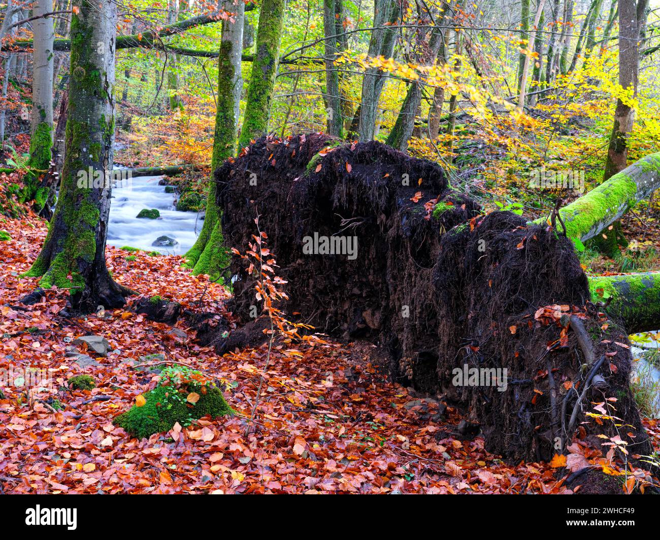 Aubach valley hi-res stock photography and images - Alamy