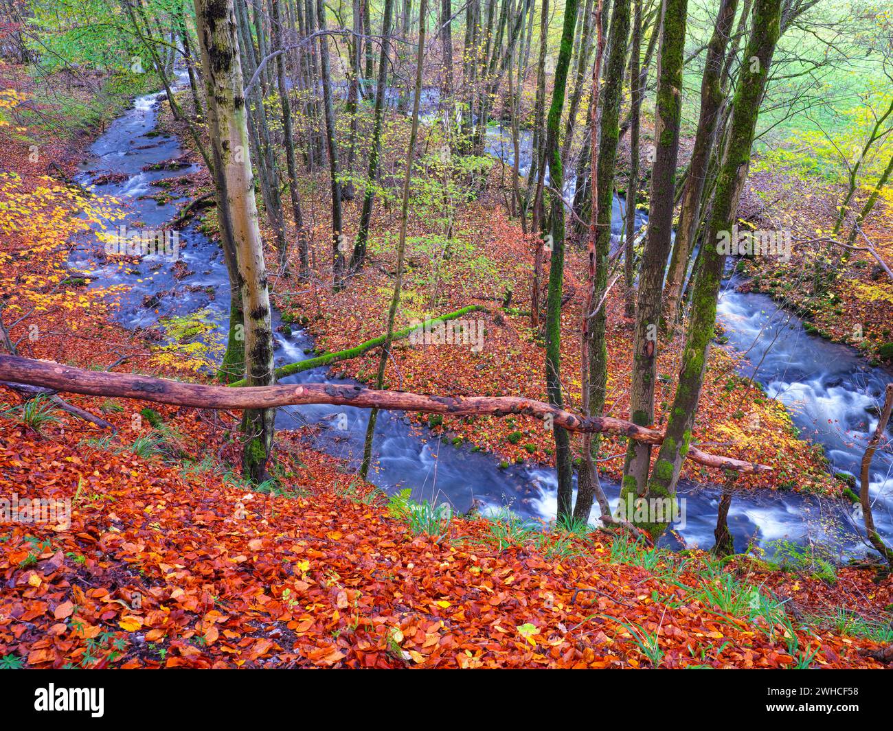 Aubach valley hi-res stock photography and images - Alamy