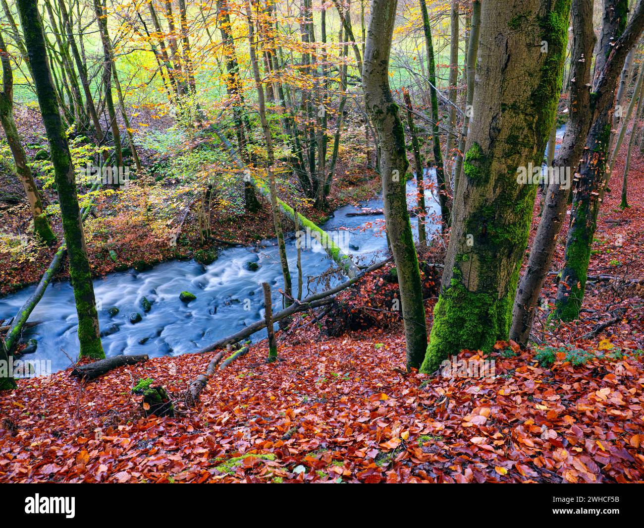 Europe, Germany, Hesse, Central Hesse, Lahn-Dill-Bergland Nature Park ...