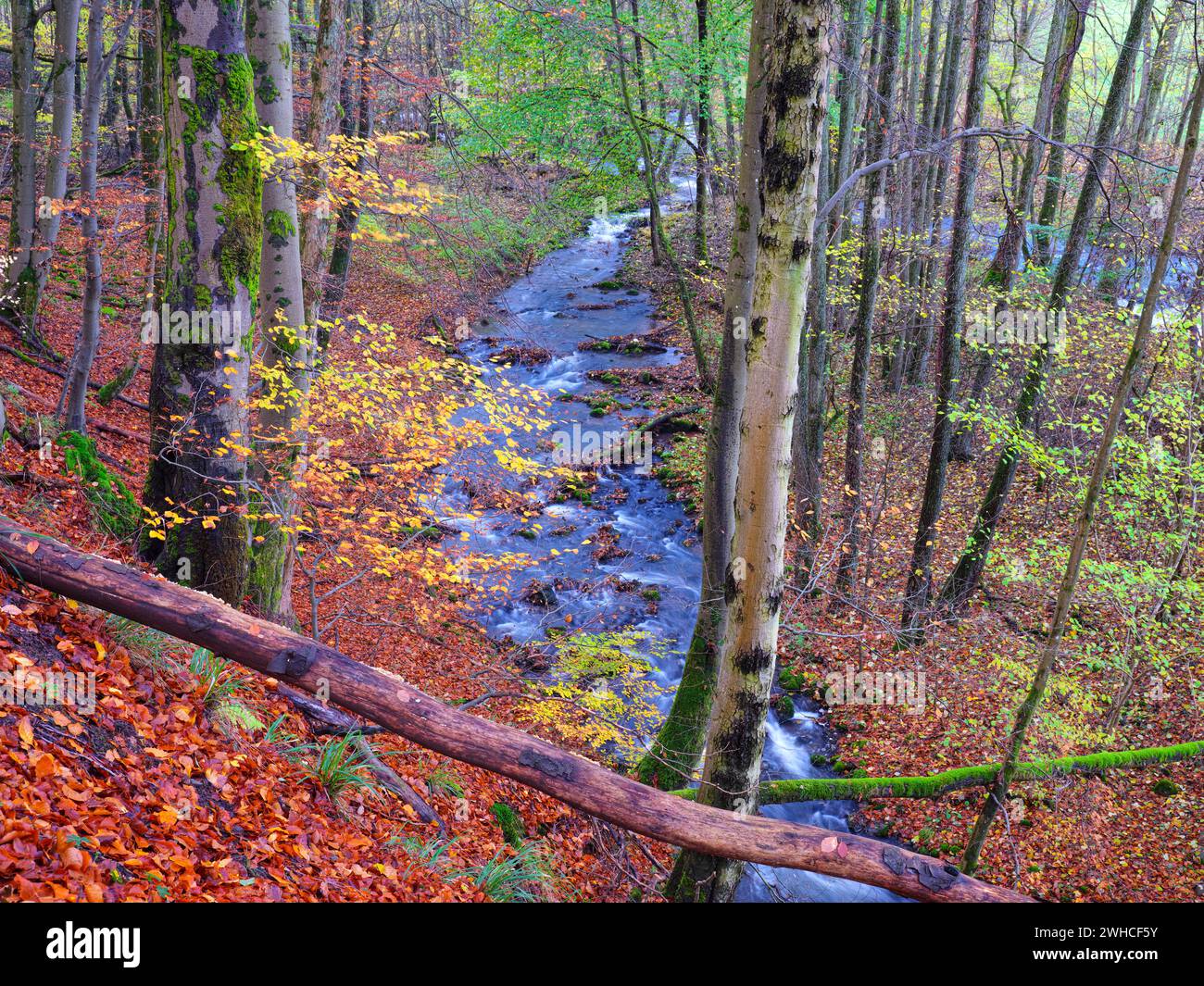 Aubach valley hi-res stock photography and images - Alamy