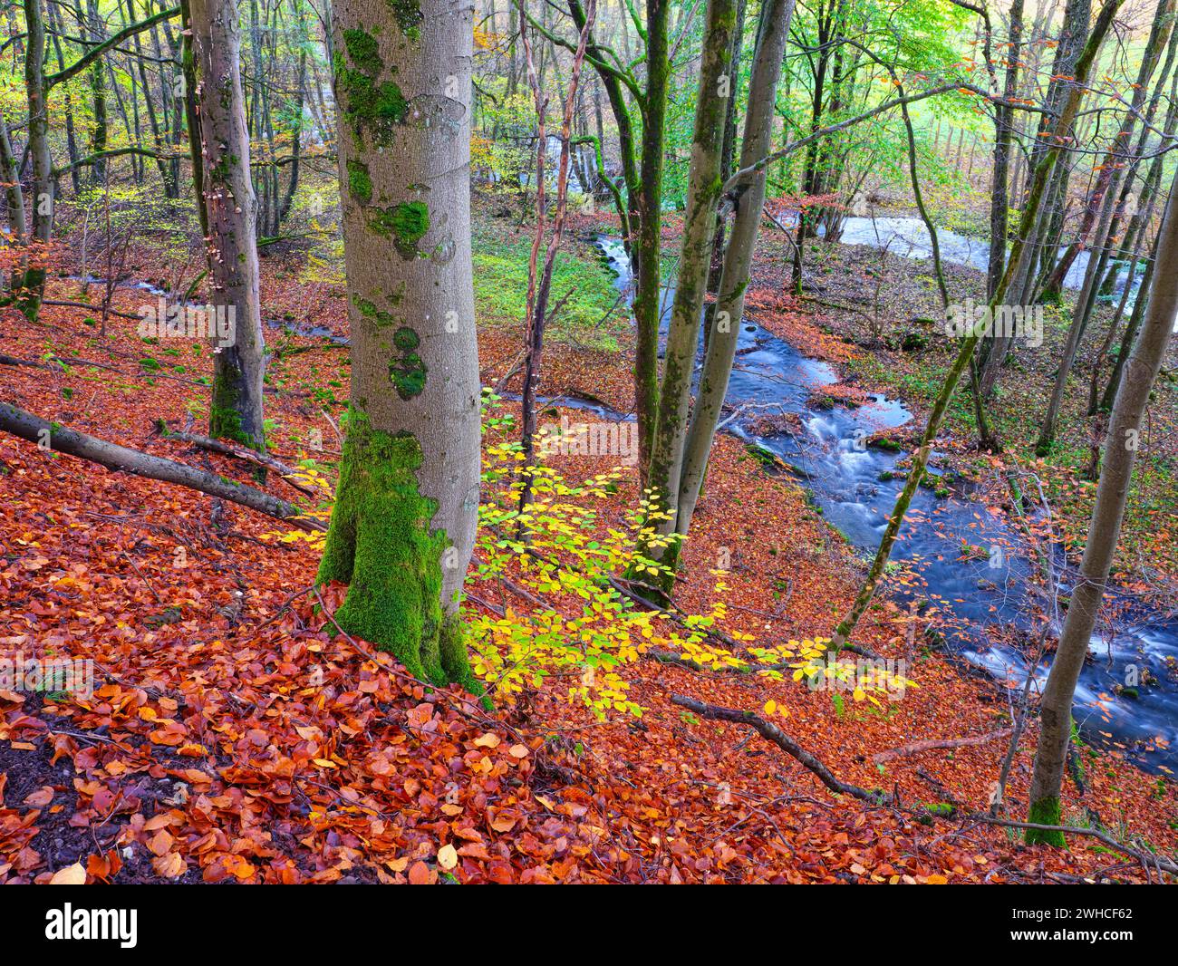 Aubach valley hi-res stock photography and images - Alamy