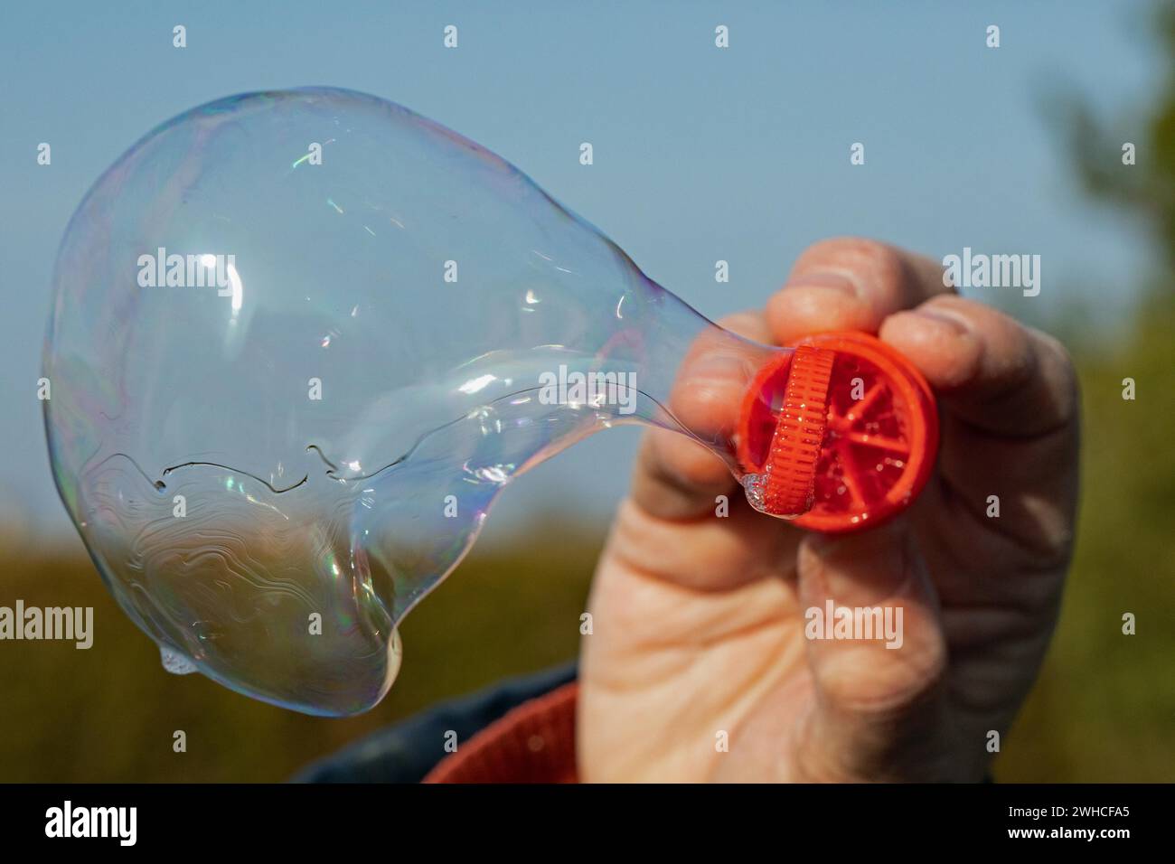 Soap Bubble Blowing Ring With Coloured Film Of Soapy Water In Front Of
