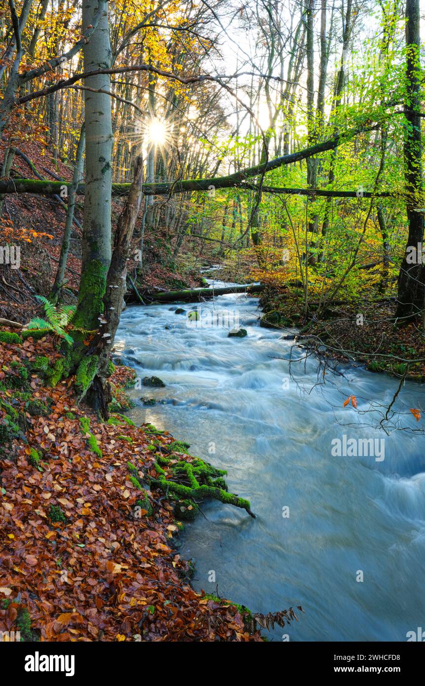 Aubach valley hi-res stock photography and images - Alamy