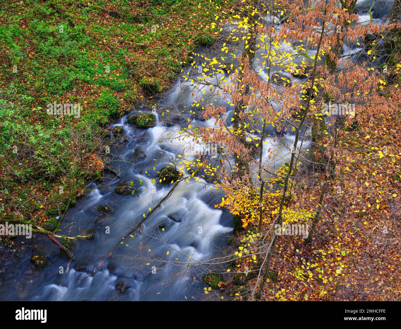 Nature reserve aubachtal bei langenaubach hi-res stock photography and ...