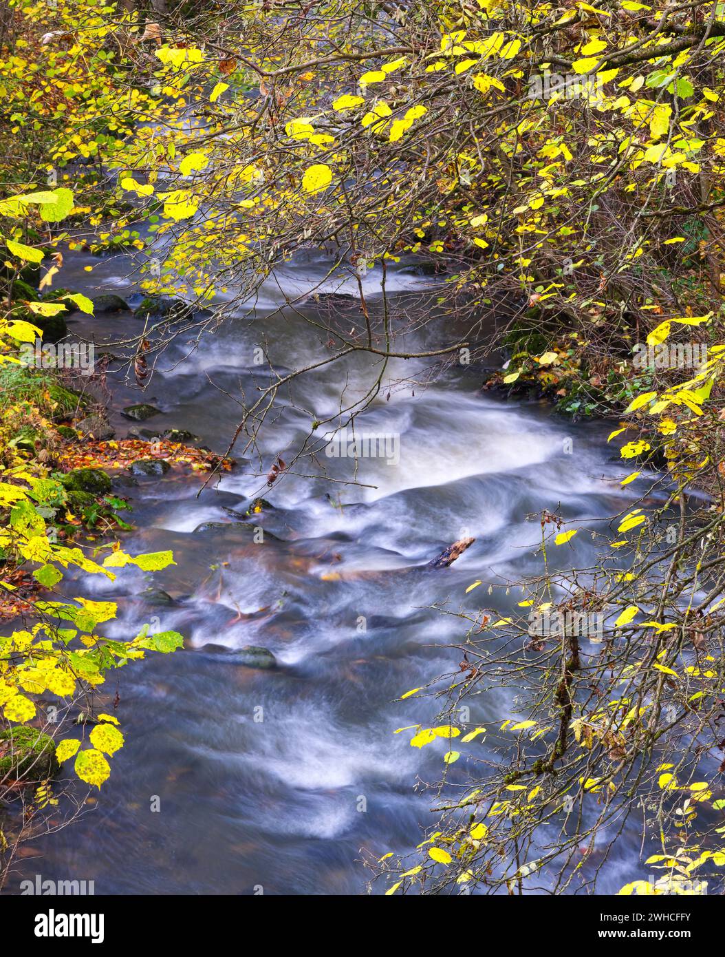 Aubach valley hi-res stock photography and images - Alamy