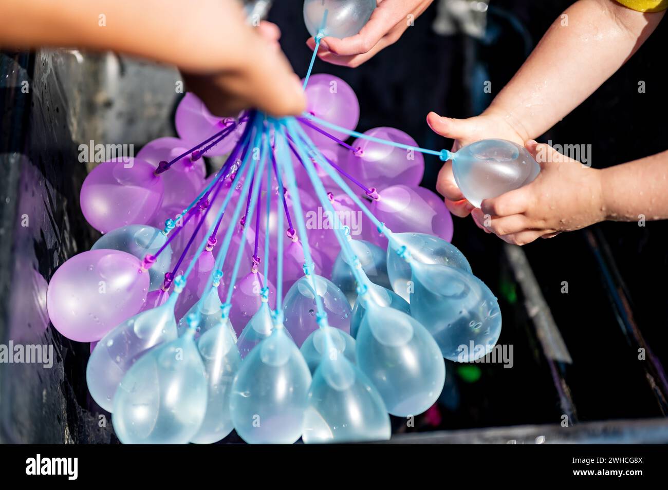 Rapid filling self sealing water balloons being inflated with a hose ...