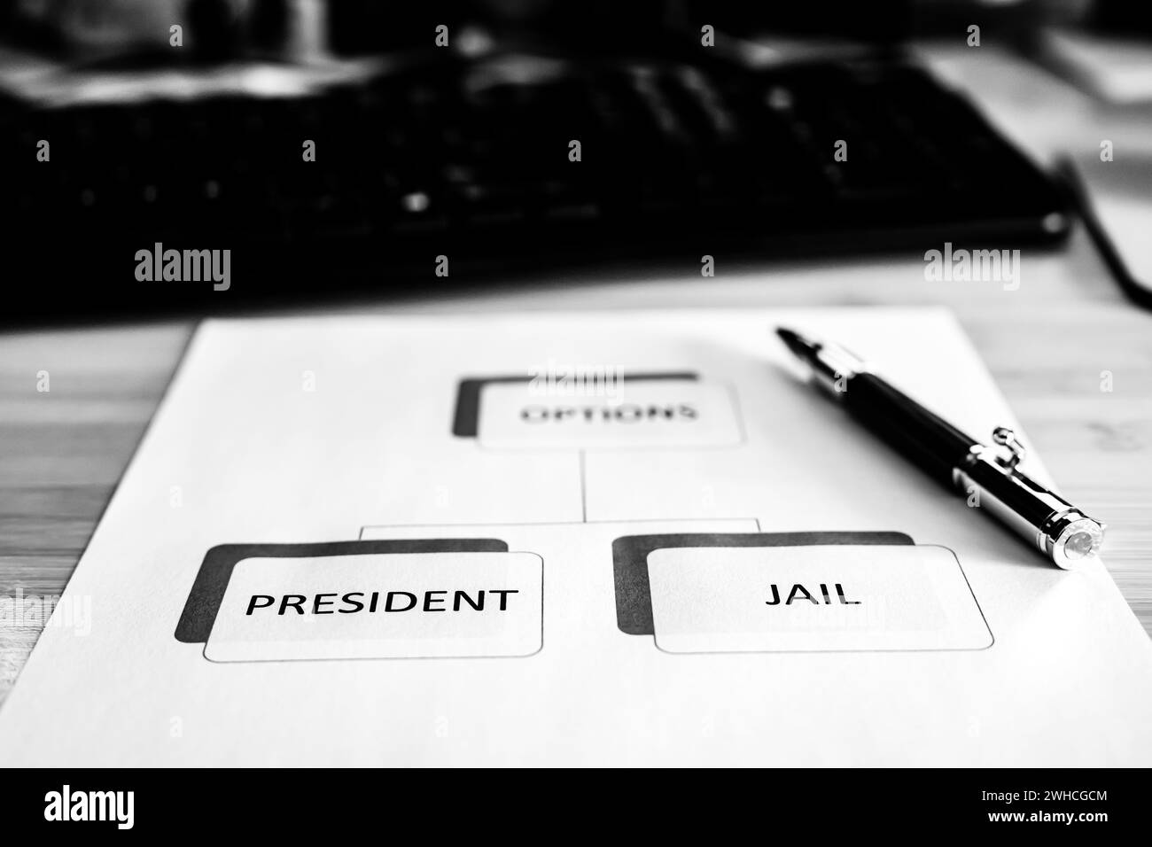 Flow chart for political options to be either elected president or go ...