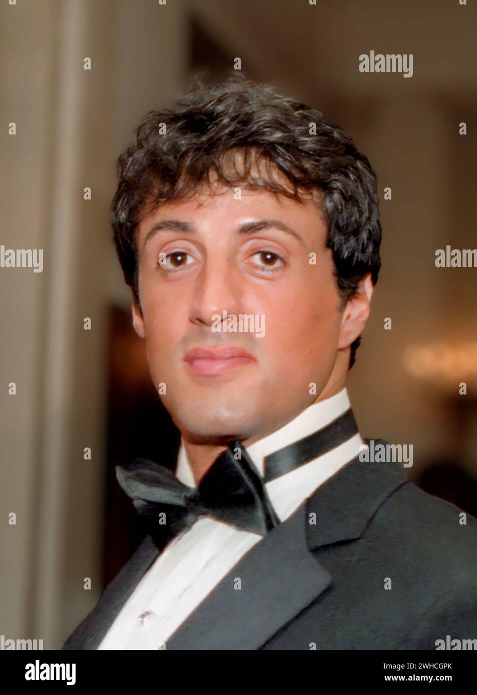Sylvester Stallone. Portrait of the American actor and film maker ...
