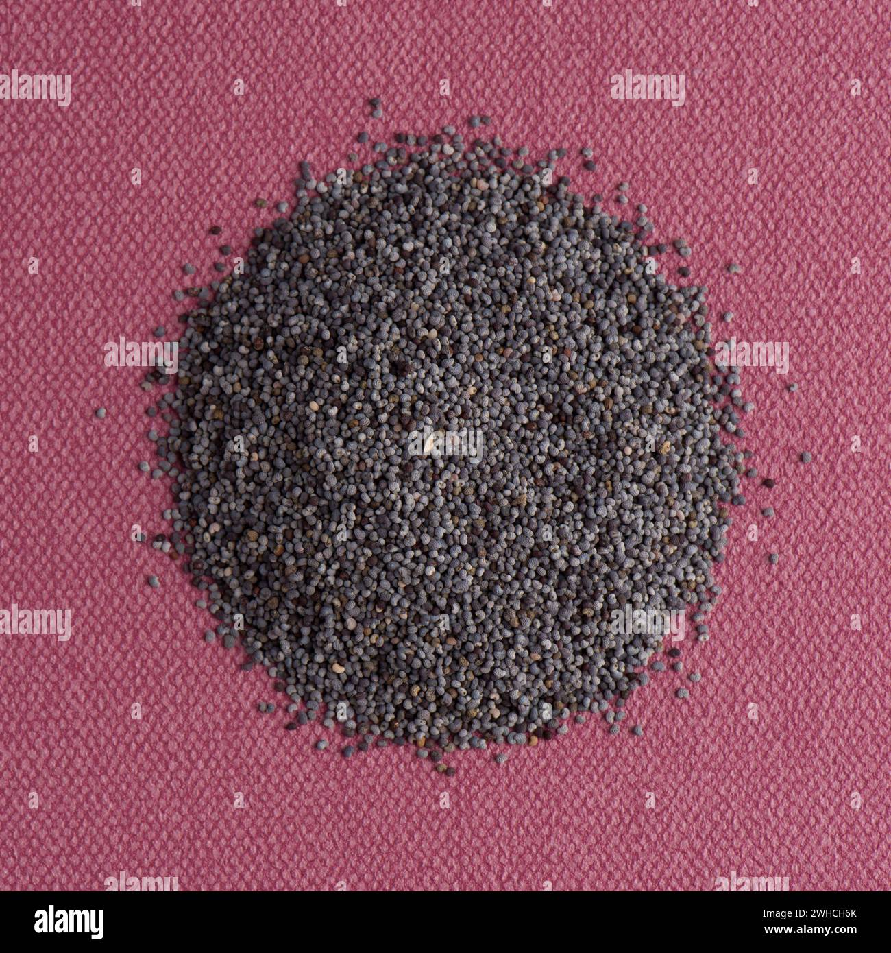 Circle of poppy seeds Stock Photo - Alamy