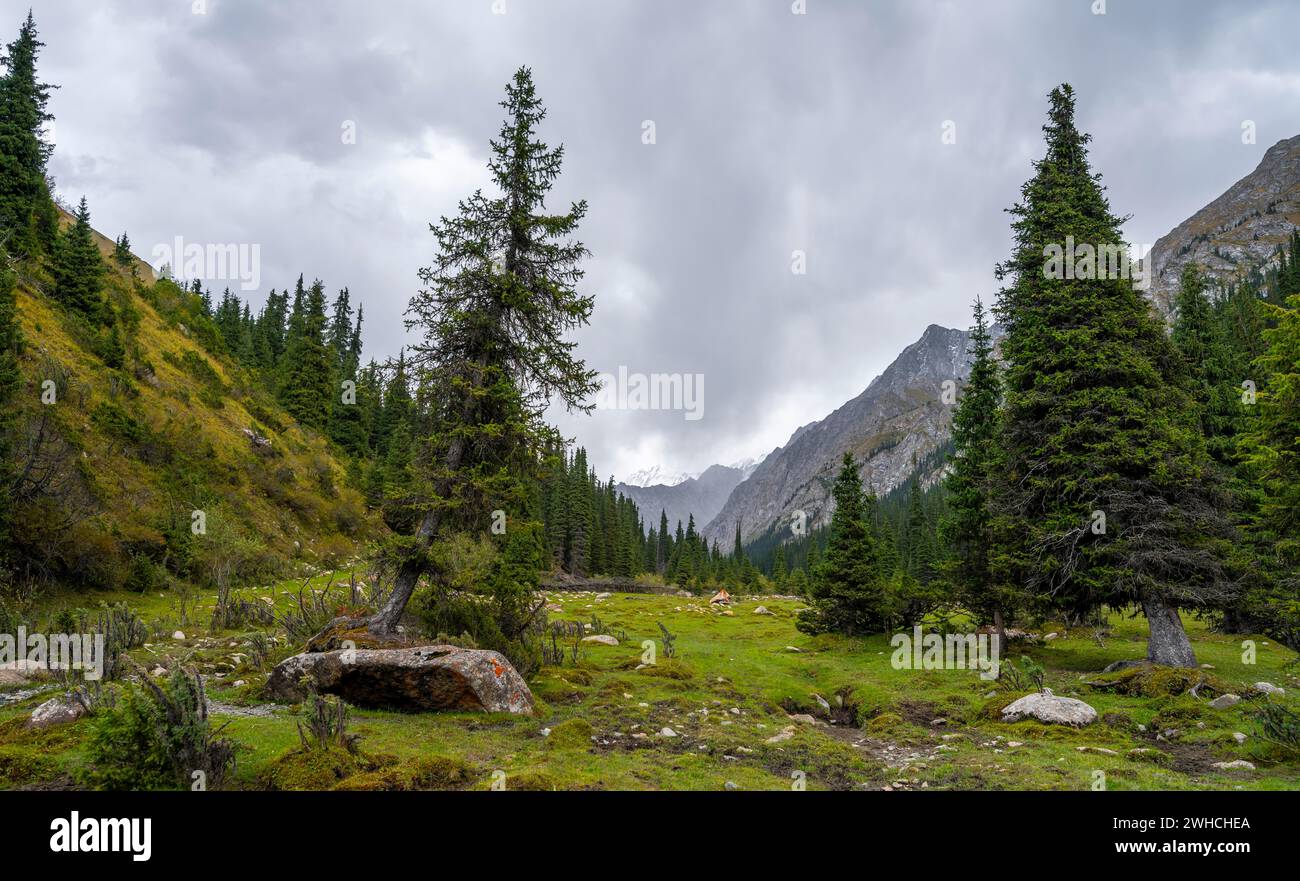 Green mountain valley with forest, Chong Kyzyl Suu Valley, Terskey Ala ...