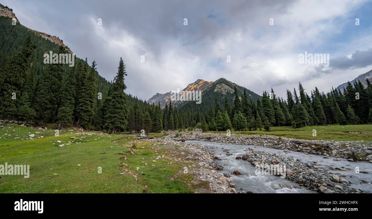 Green valley forest mountains hi-res stock photography and images - Alamy