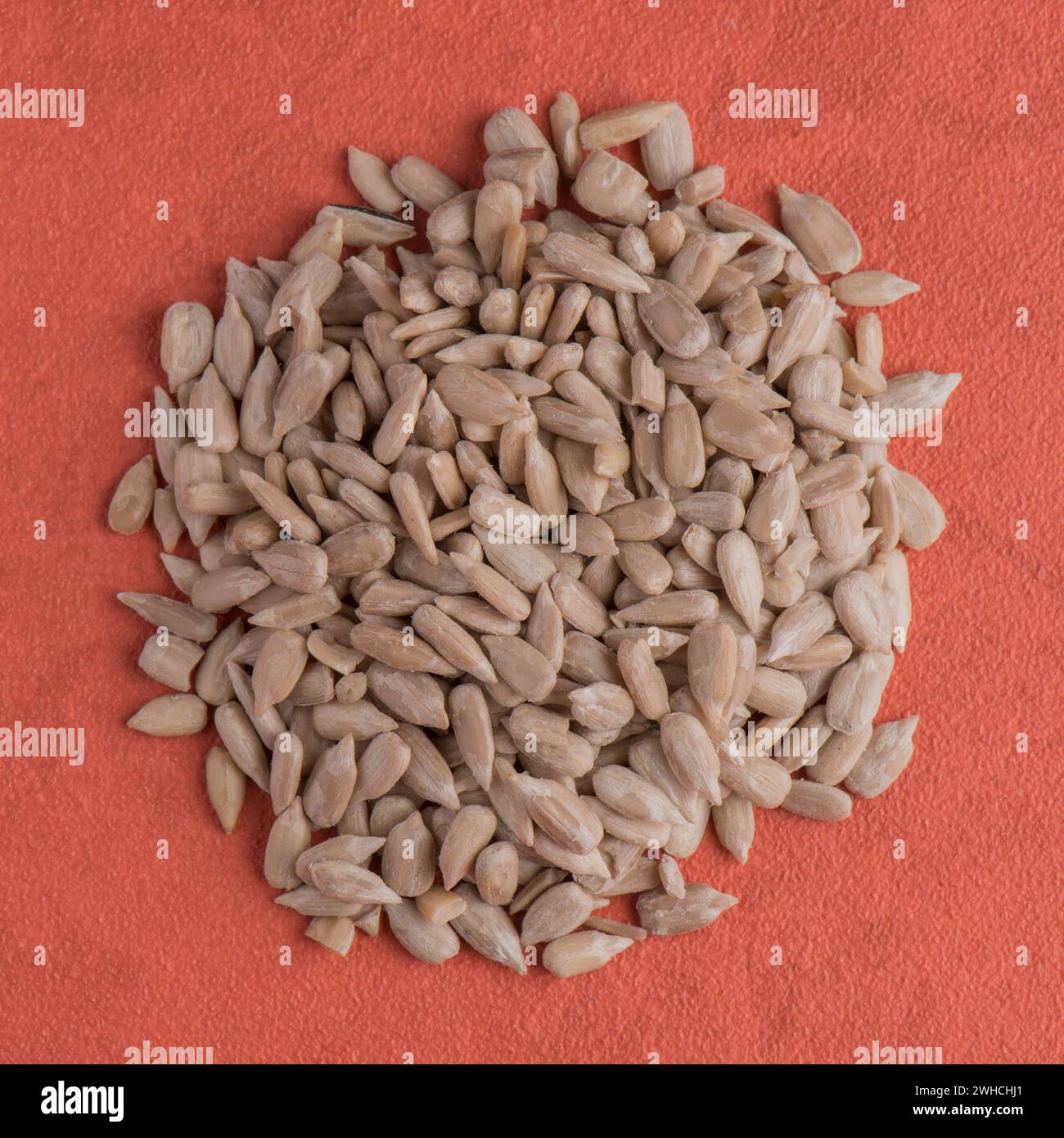 Circle of shelled sunflower seeds Stock Photo - Alamy