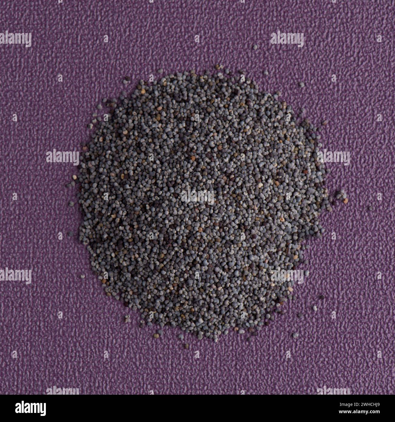 Poppy farming nature agriculture hi-res stock photography and images ...