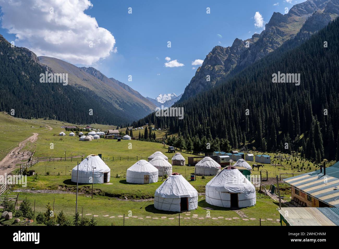Yurts for tourists in the village of Altyn Arashan, green mountain ...