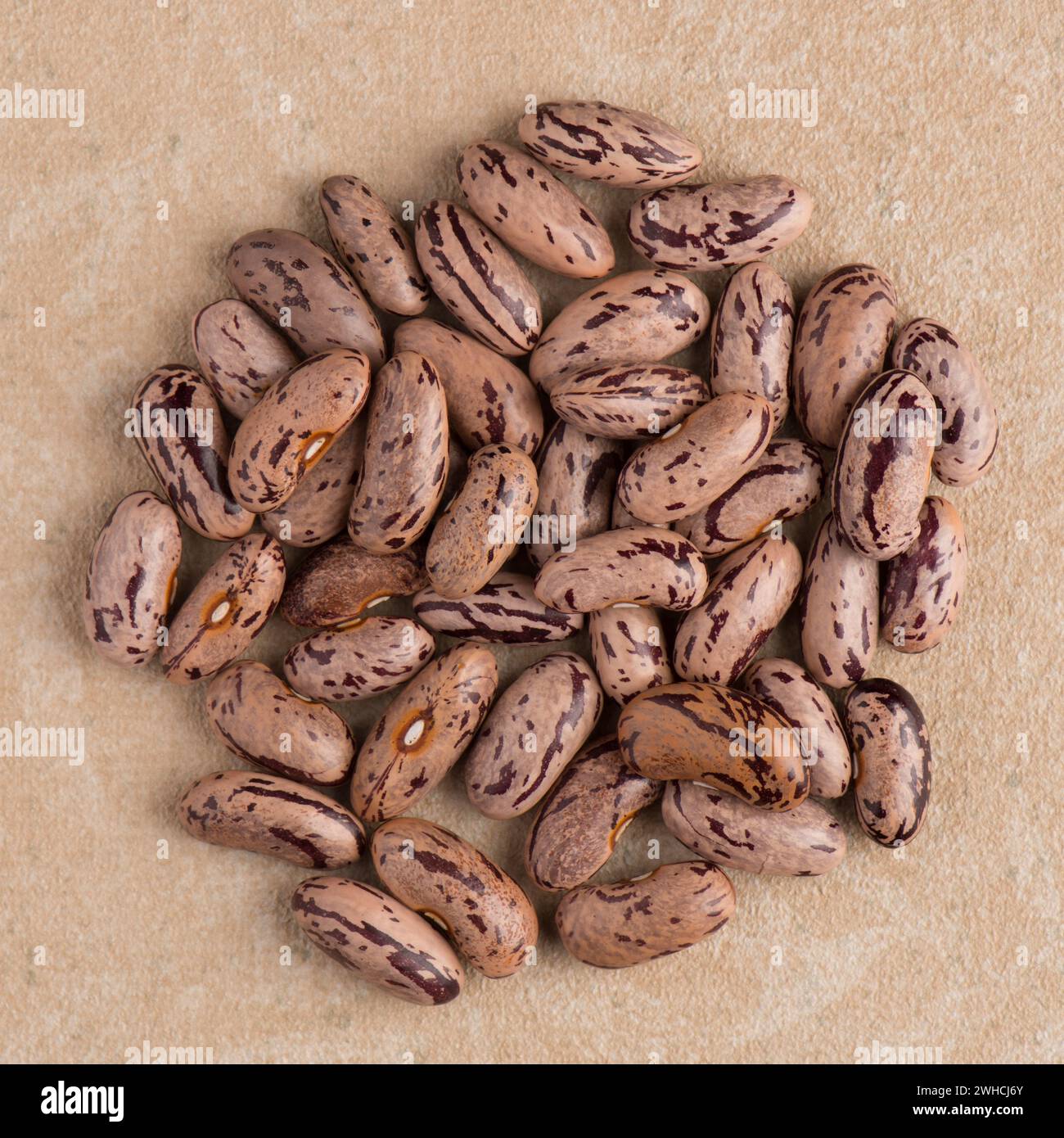 Circle of pinto beans Stock Photo - Alamy