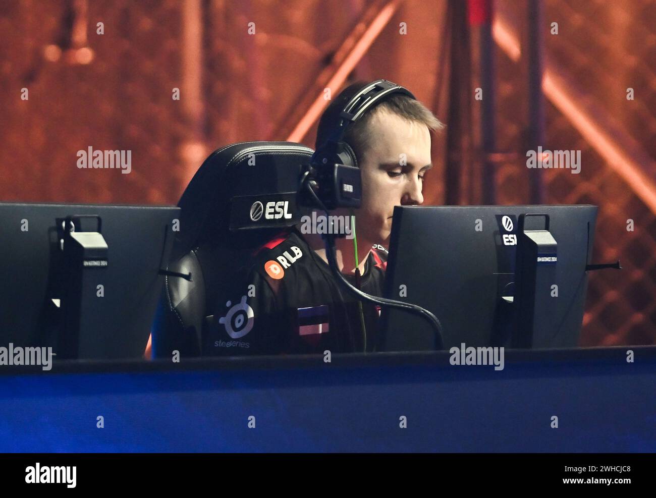 Robin foto hi-res stock photography and images - Alamy