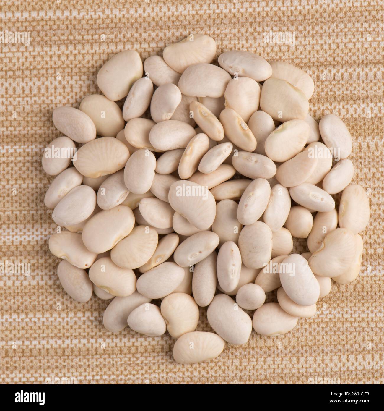 Circle of white beans Stock Photo - Alamy