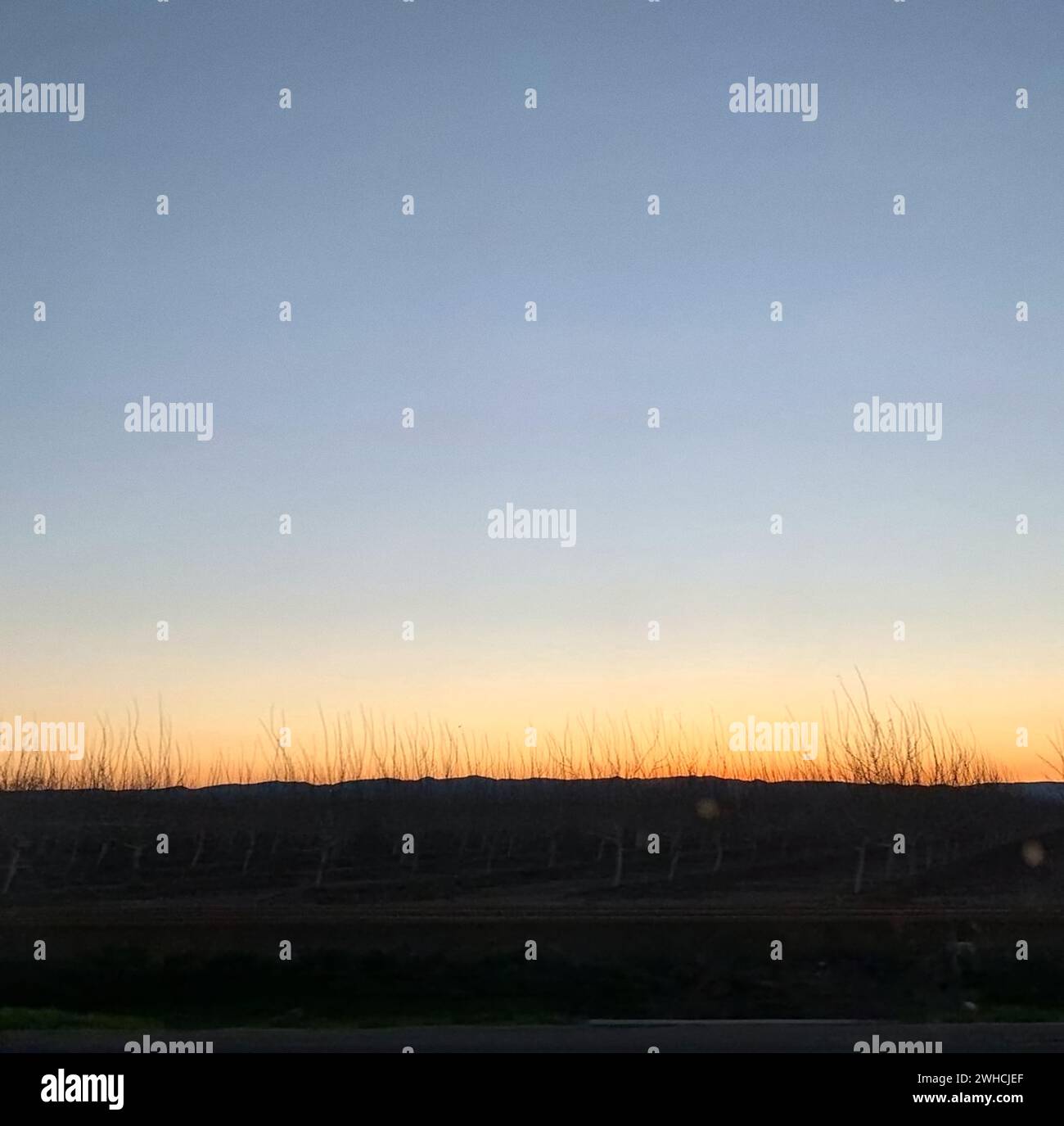 Wide poster hi-res stock photography and images - Alamy