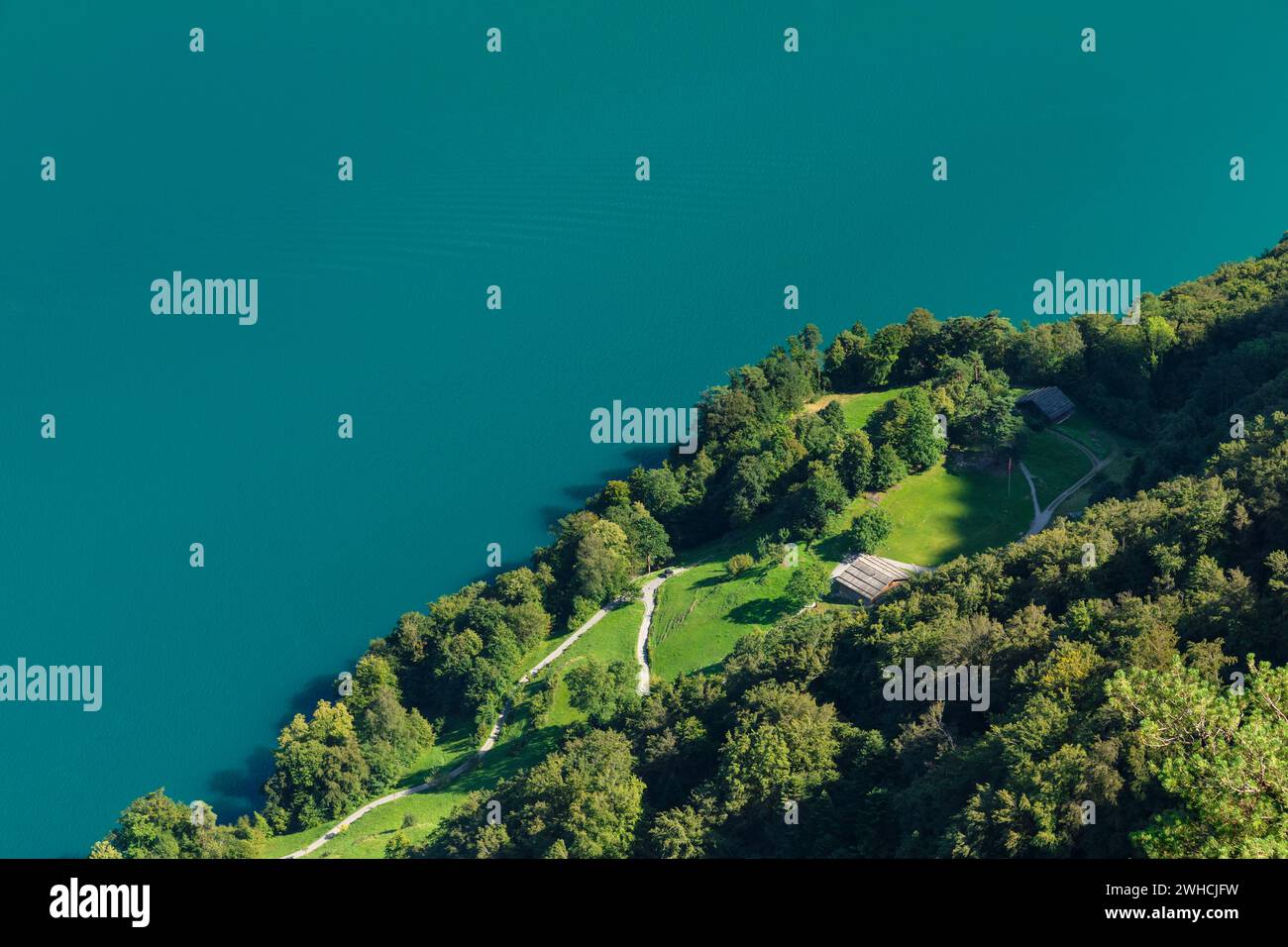View from Seelisberg to the Ruetli meadow, site of the Ruetli oath ...