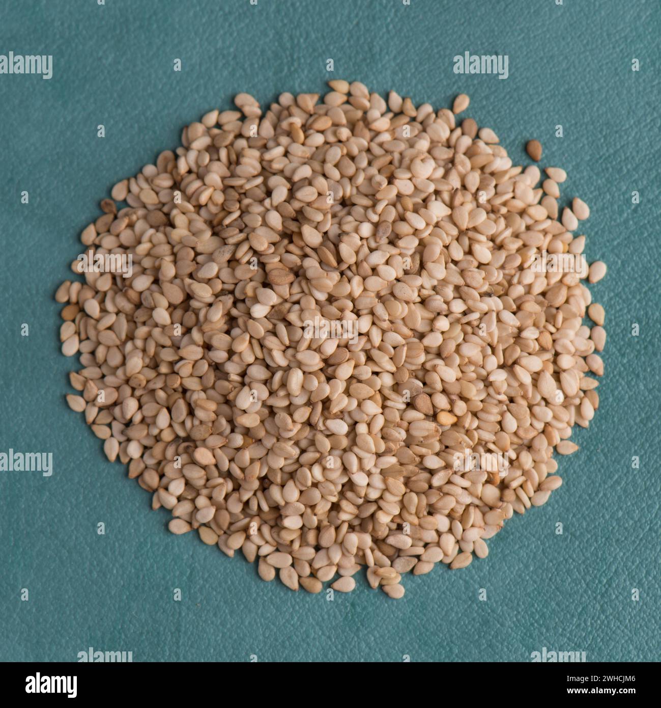 Circle of sesame seeds Stock Photo - Alamy