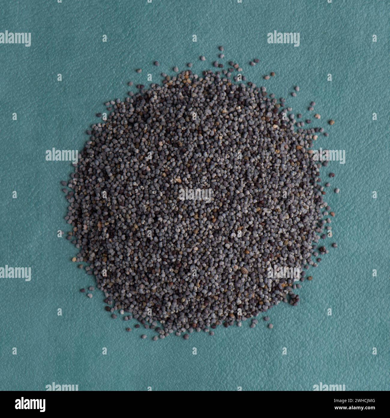 Circle of poppy seeds Stock Photo - Alamy