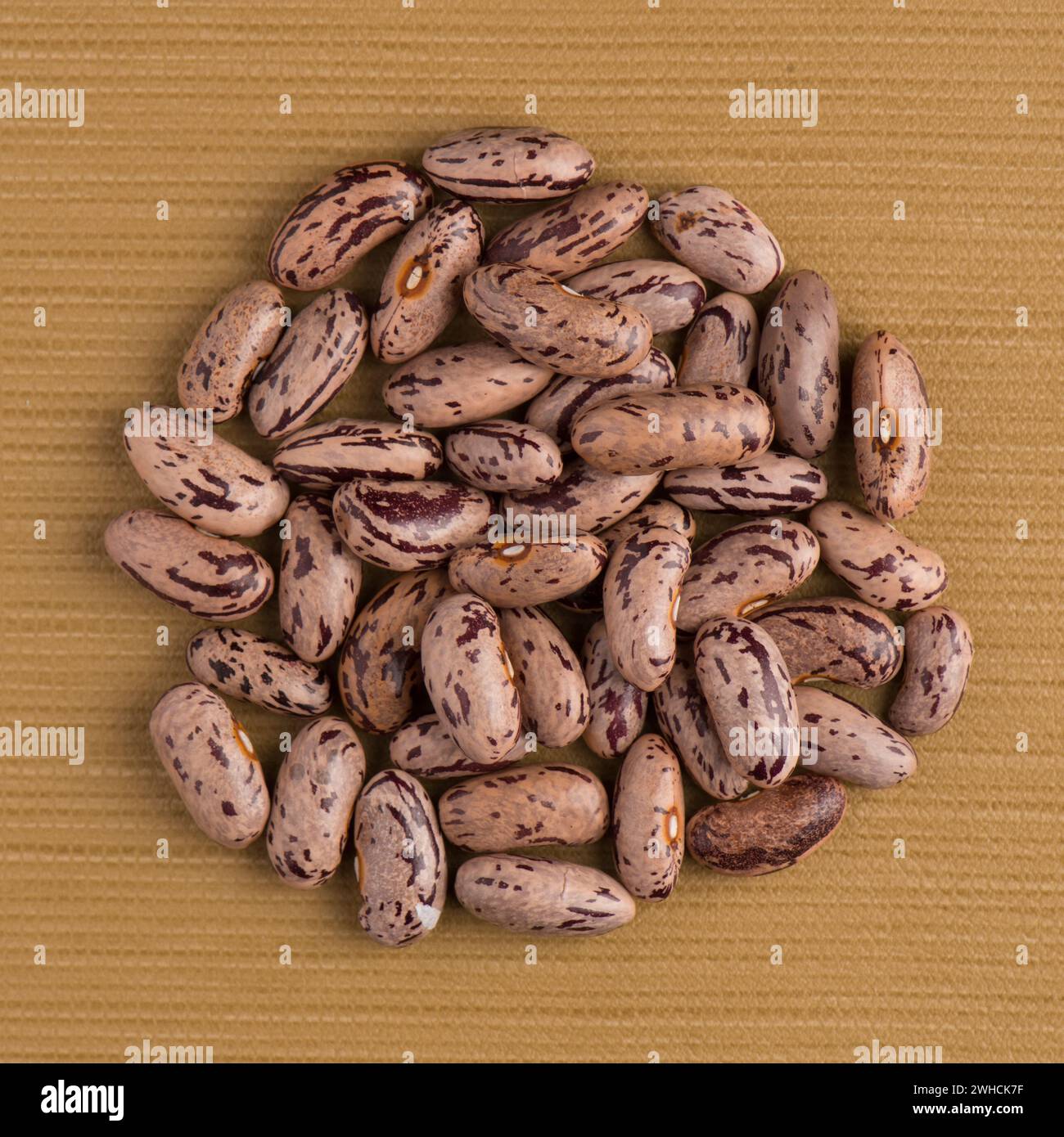 Circle of pinto beans Stock Photo - Alamy