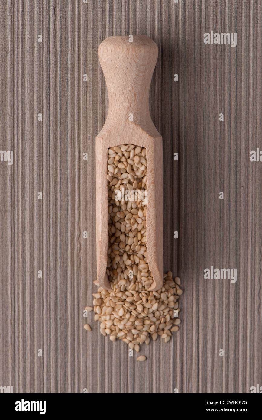 Seed scoop wooden hi-res stock photography and images - Alamy