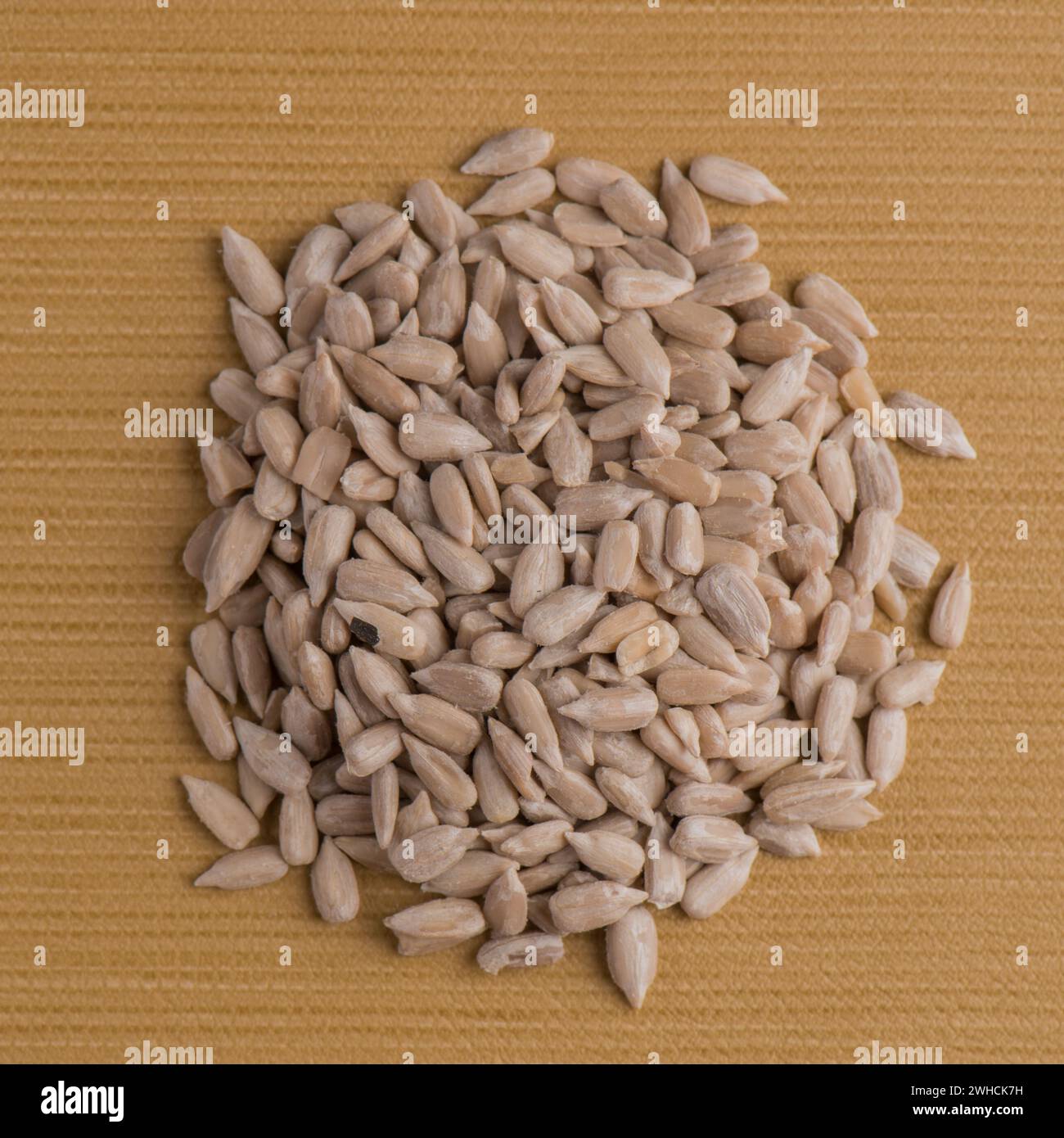 Circle of shelled sunflower seeds Stock Photo - Alamy