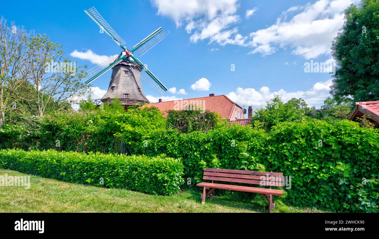 Slaughter mill, windmill, house facade, architecture, town view, Jever ...